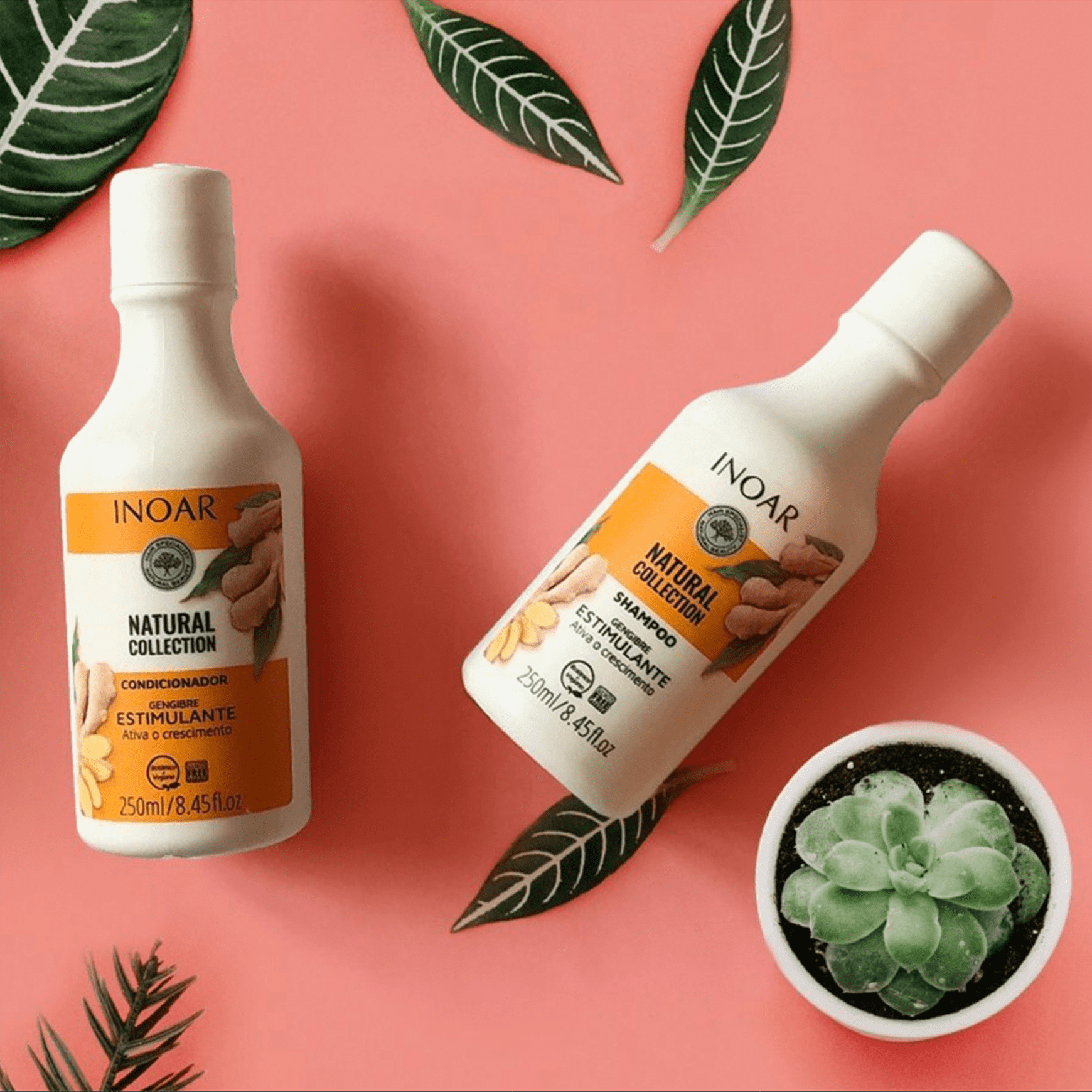 Shampoo Inoar Natural Collection Gengibre | Beleza na Web