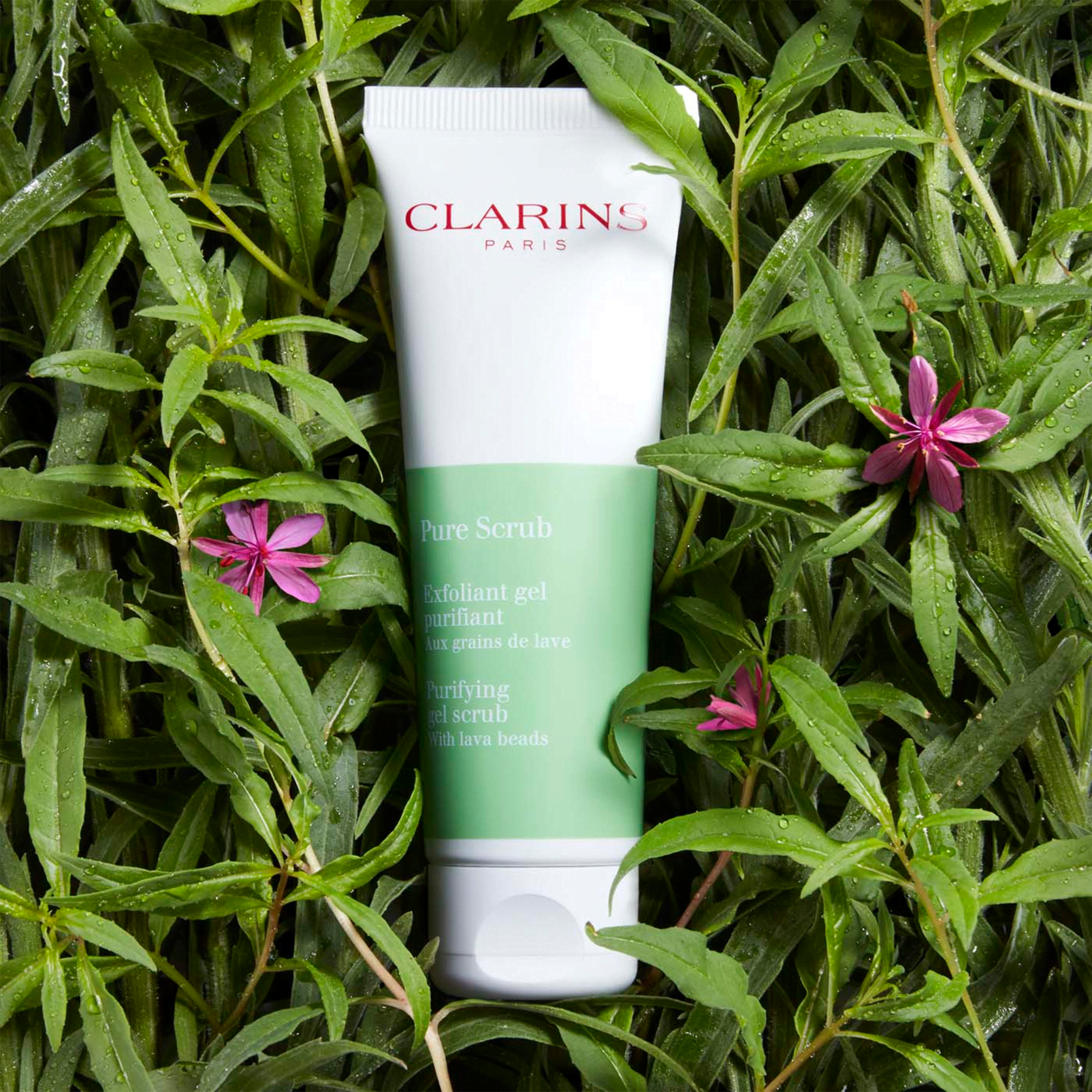 Gel Esfoliante Clarins Pure Facial | Beleza na Web