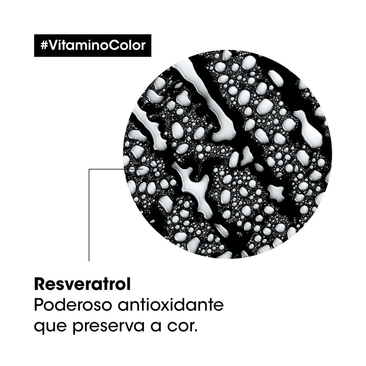 Kit L’Oréal Pro Vitamino Color Resveratrol Duo | Beleza na Web