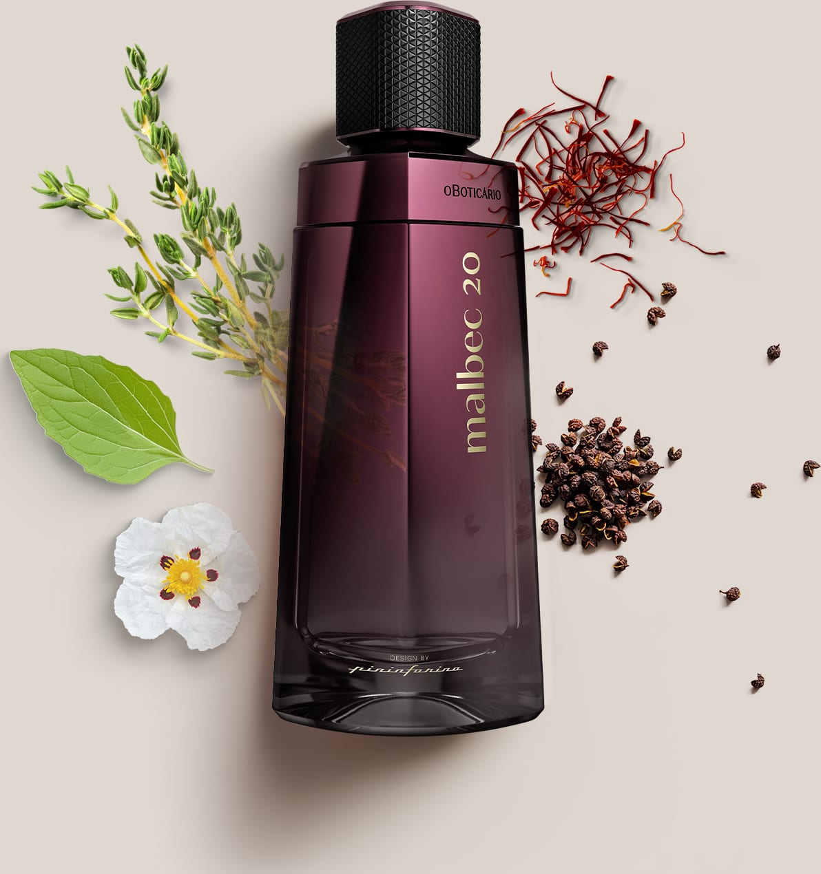 Malbec 20 Anos Desodorante Colônia 100ml | O Boticario