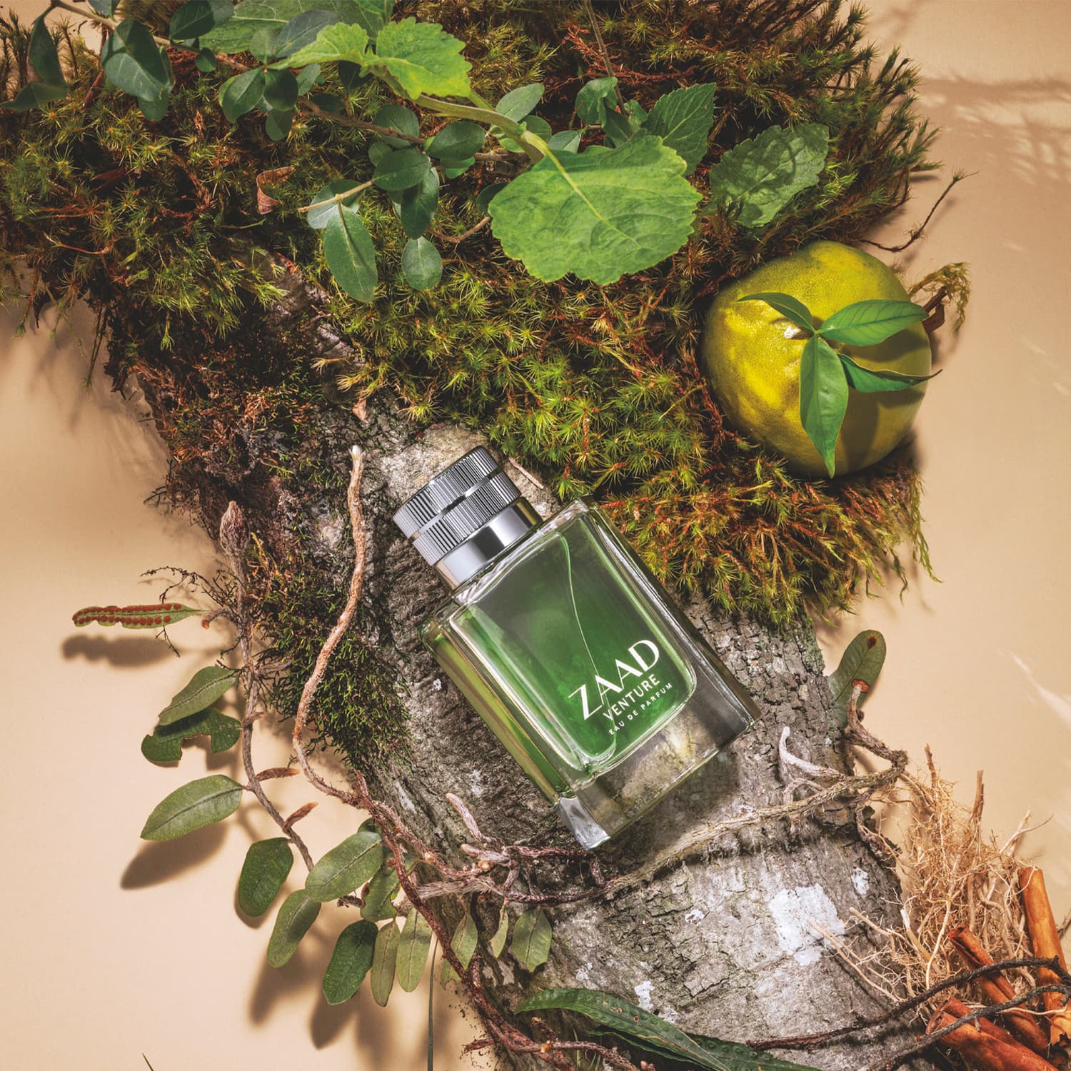 Zaad Venture Eau De Parfum 95ml | O Boticário