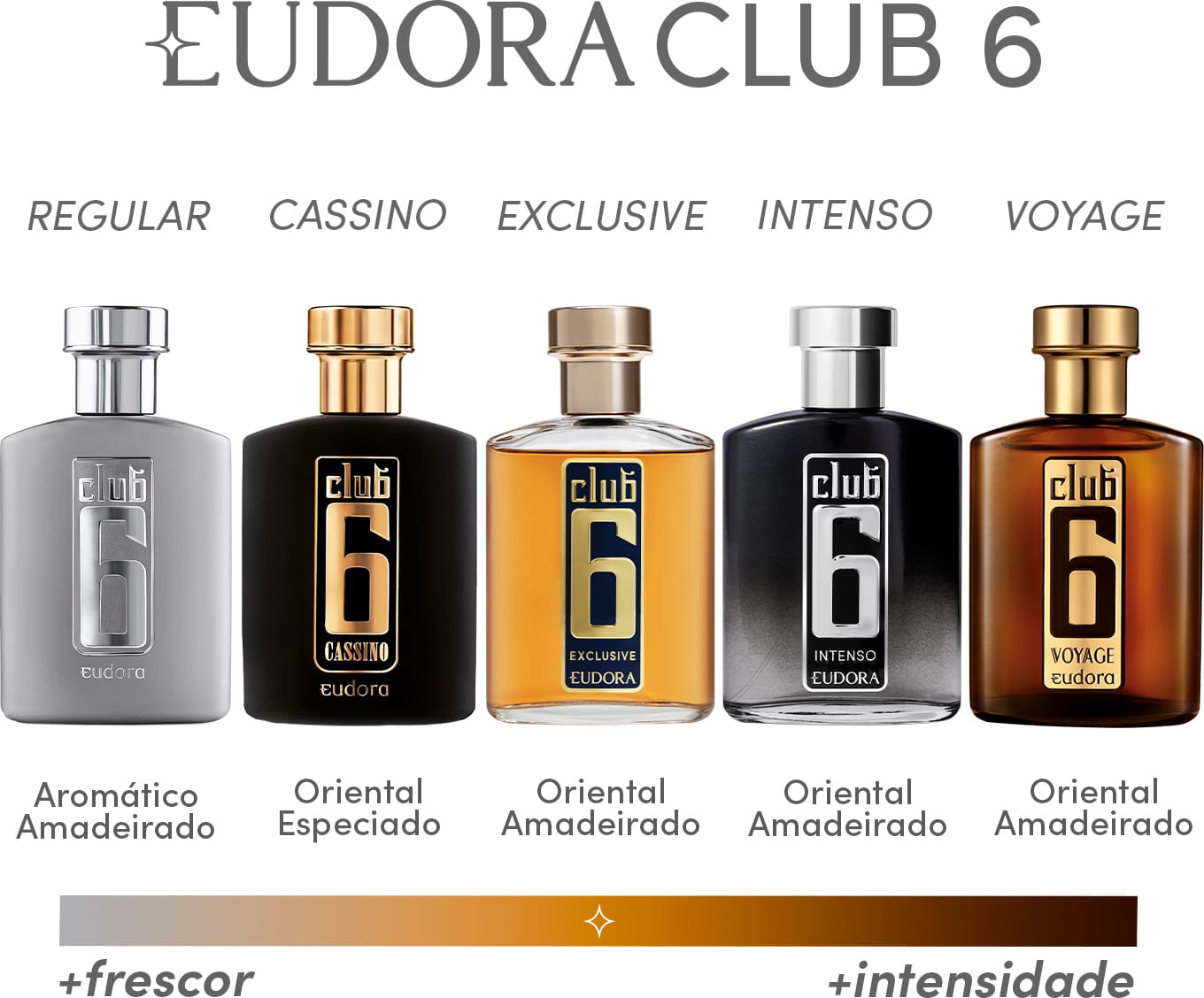 Club 6 Intenso Desodorante Colônia 95ml | Eudora