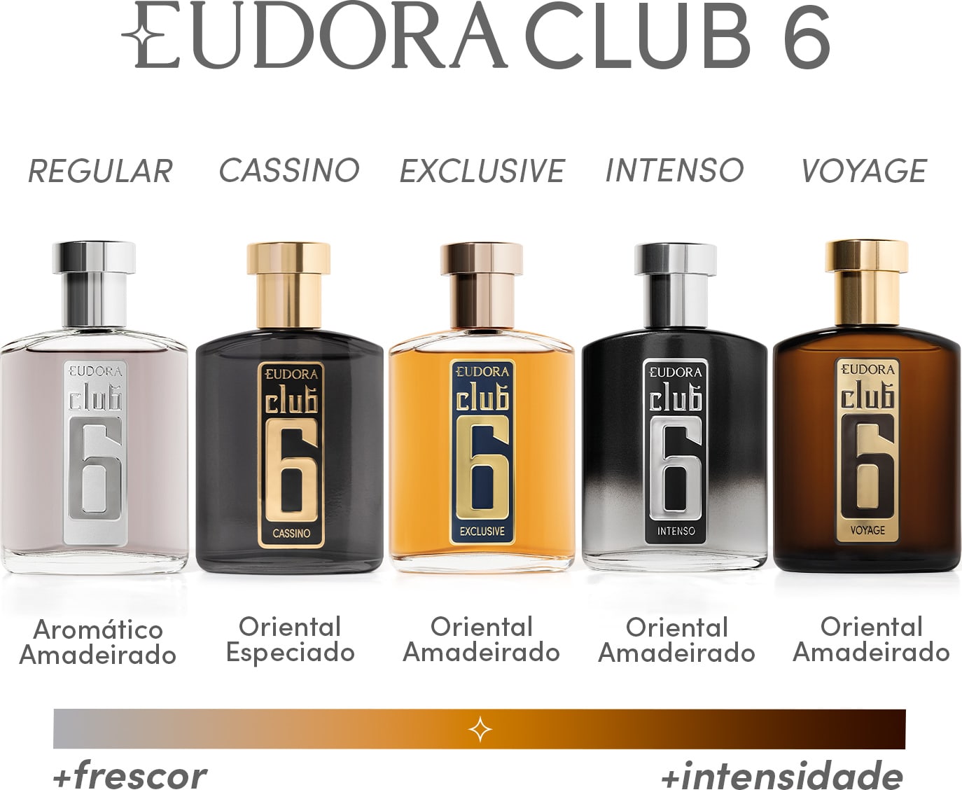 Club 6 Intenso Desodorante Colônia 95ml | Eudora