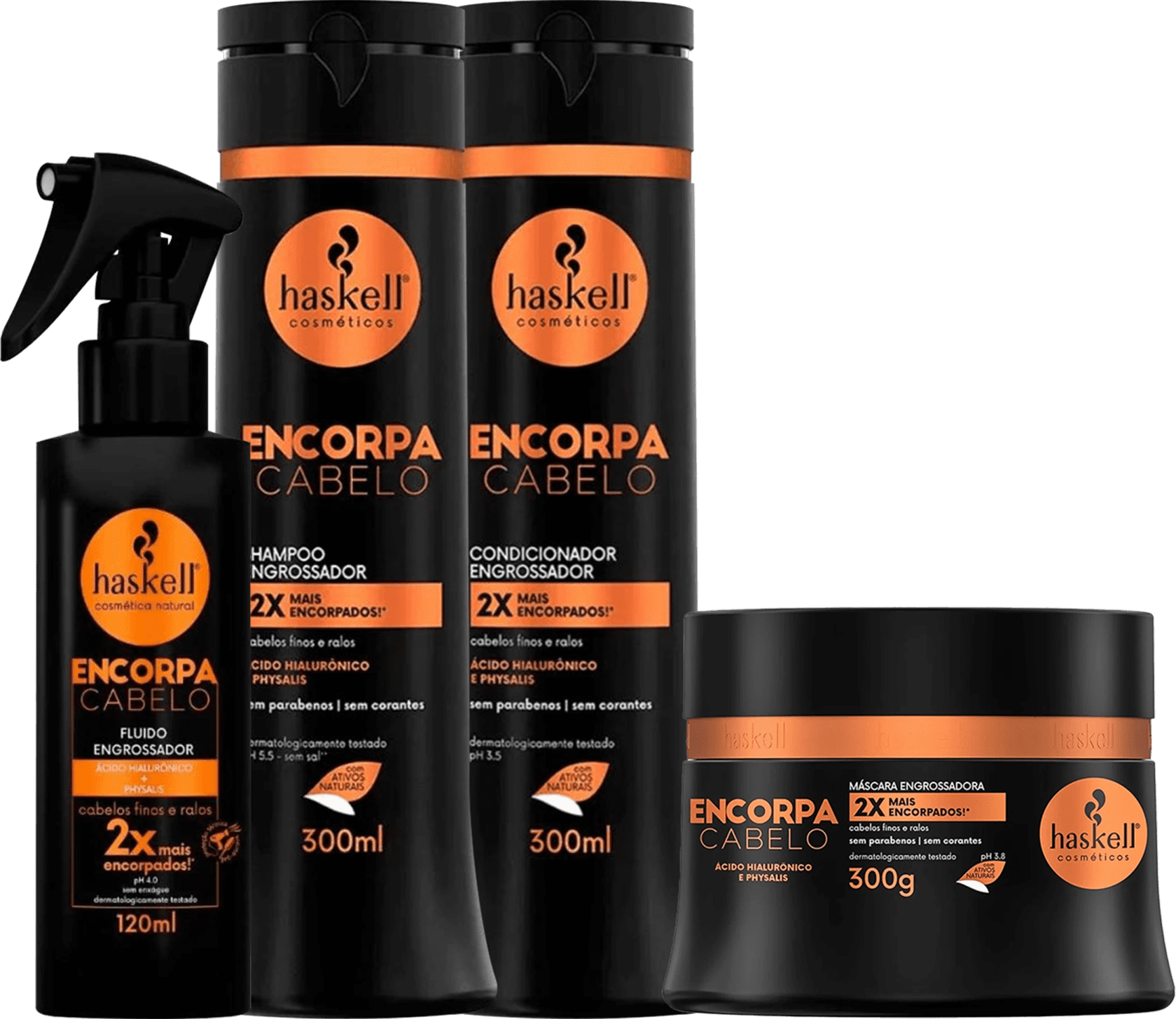 Kit Haskell Encorpa Cabelo Completo | Beleza na Web