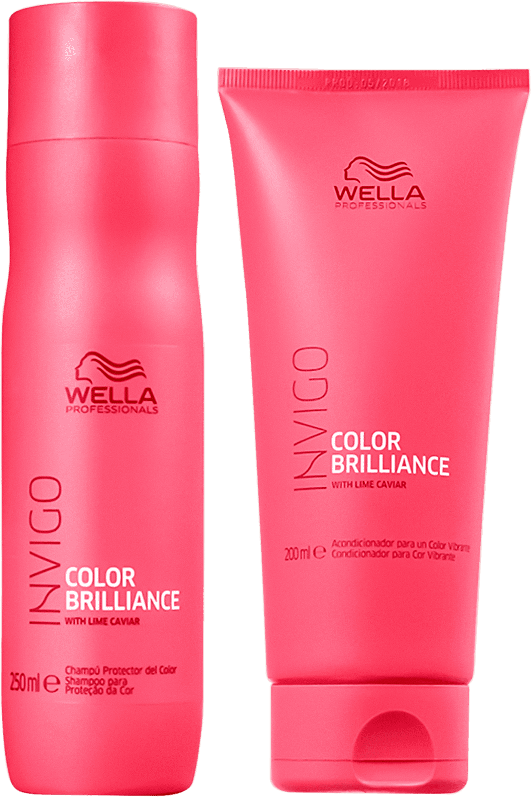 Kit Wella Professionals Invigo Color Brilliance Home Care Duo | Beleza na Web
