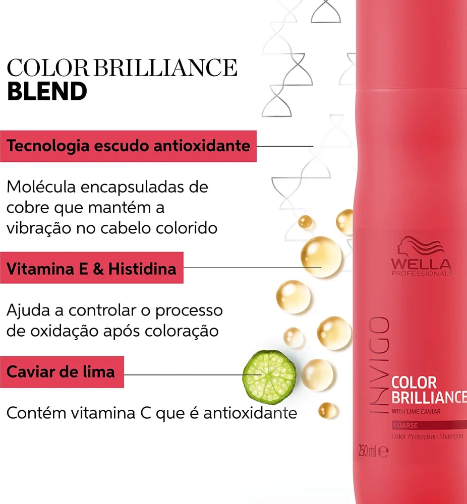 Kit Wella Professionals Invigo Color Brilliance Home Care Duo | Beleza ...