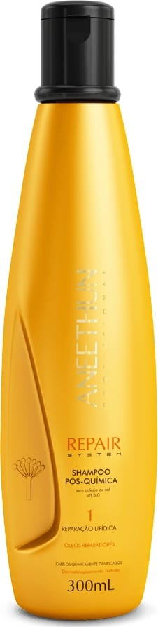 Kit Aneethun Repair System Shampoo 300ml + Finalizador 250g - Pós Química