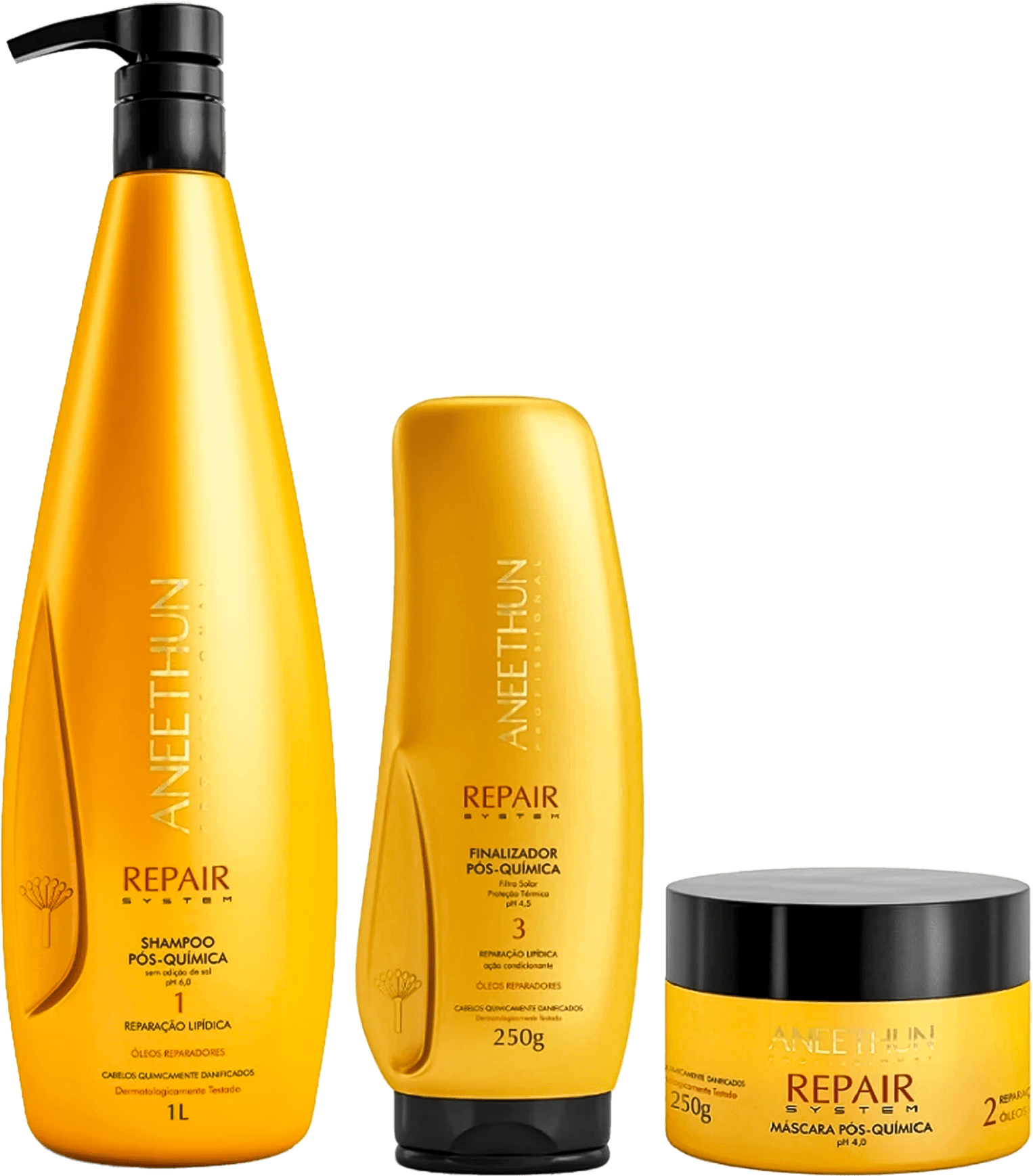 Kit Aneethun Repair System Pós-Química Shampoo 1000ml + Finalizador ...
