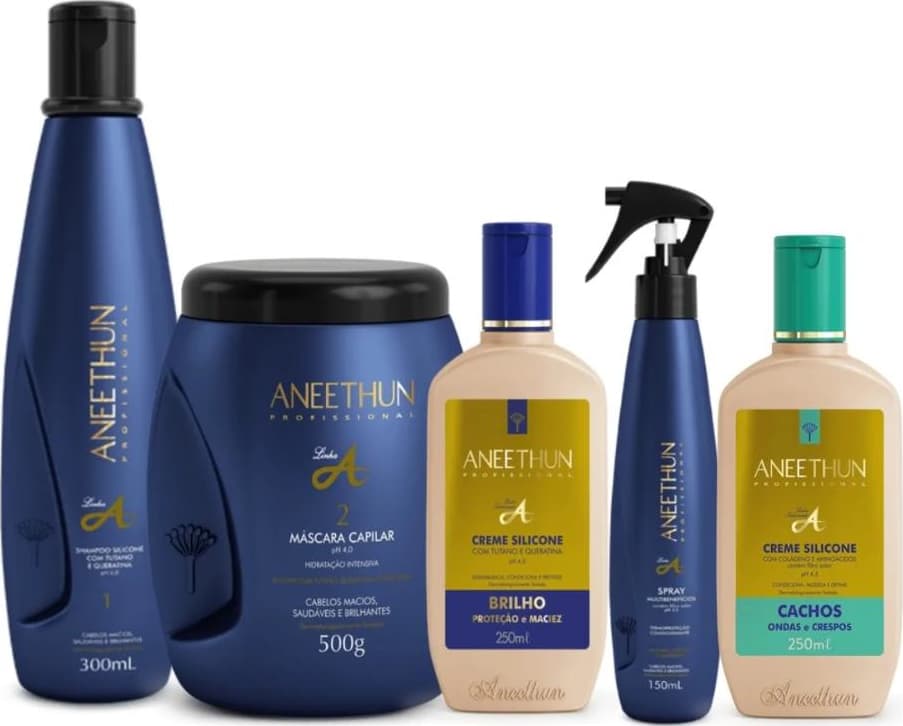 Aneethun Linha A - Kit Shampoo 300 ml + Máscara 500 ml + Creme Silicone ...