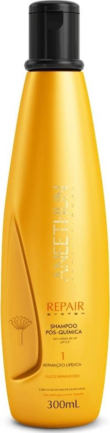 Kit Aneethun Repair System Shampoo 300ml + Máscara 250g