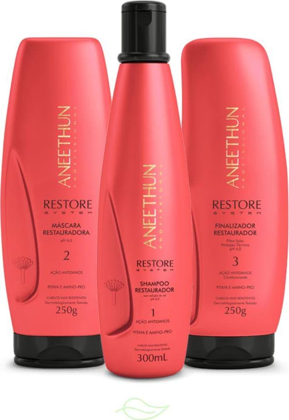 Kit Restaurador Aneethun Restore System 3 Produtos
