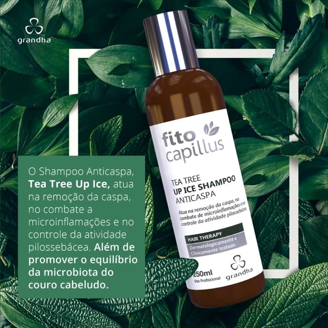 Shampoo Anticaspa Grandha Fito Capillus Tea Tree Up Ice | Beleza na Web