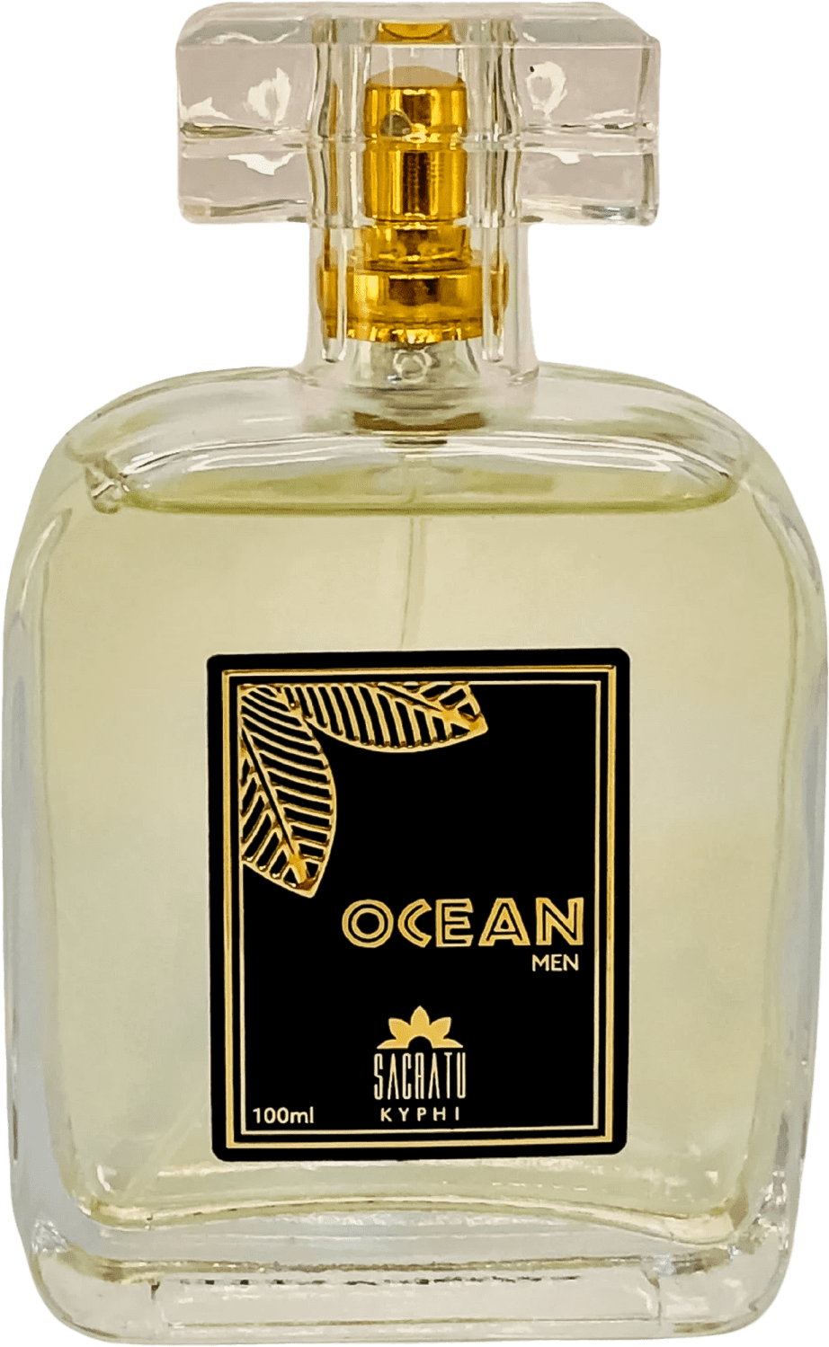 Perfume Masculino Ocean Men Sacratu EDP | Beleza na Web