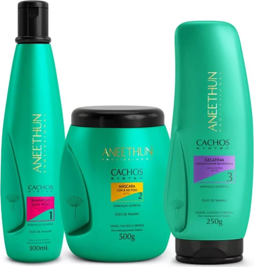 Kit Aneethun Cachos System Triplo Cuidado | Beleza na Web