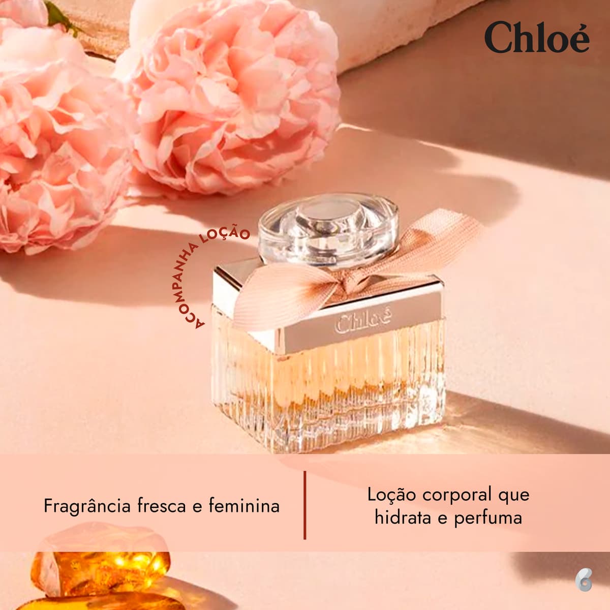 Conjunto Chloé Feminino | Beleza na Web