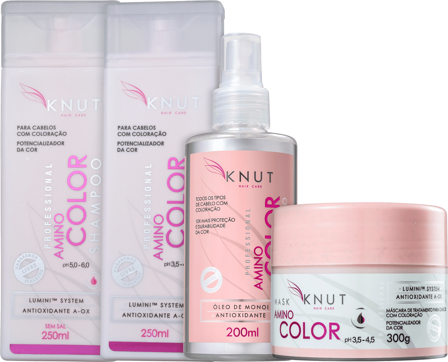 Kit Knut Amino Color (4 produtos) | Beleza na Web