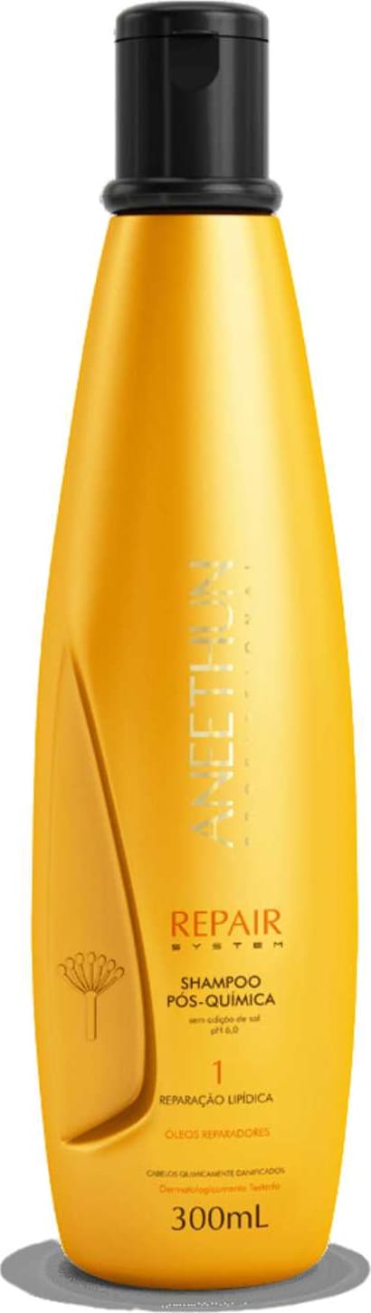 Kit Repair Aneethun Shampoo 300ml + 2 Mascaras 250g