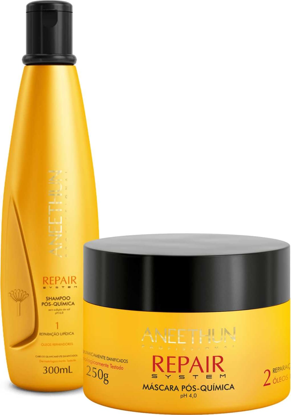 Kit Shampoo 300ml e Máscara 250g Aneethun Repair System