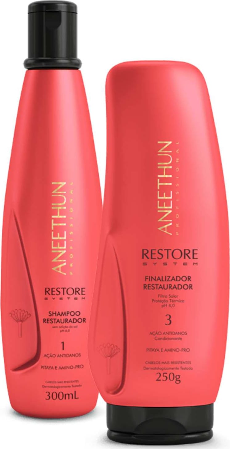Kit Shampoo Finalizador Aneethun Restore System Restaurador