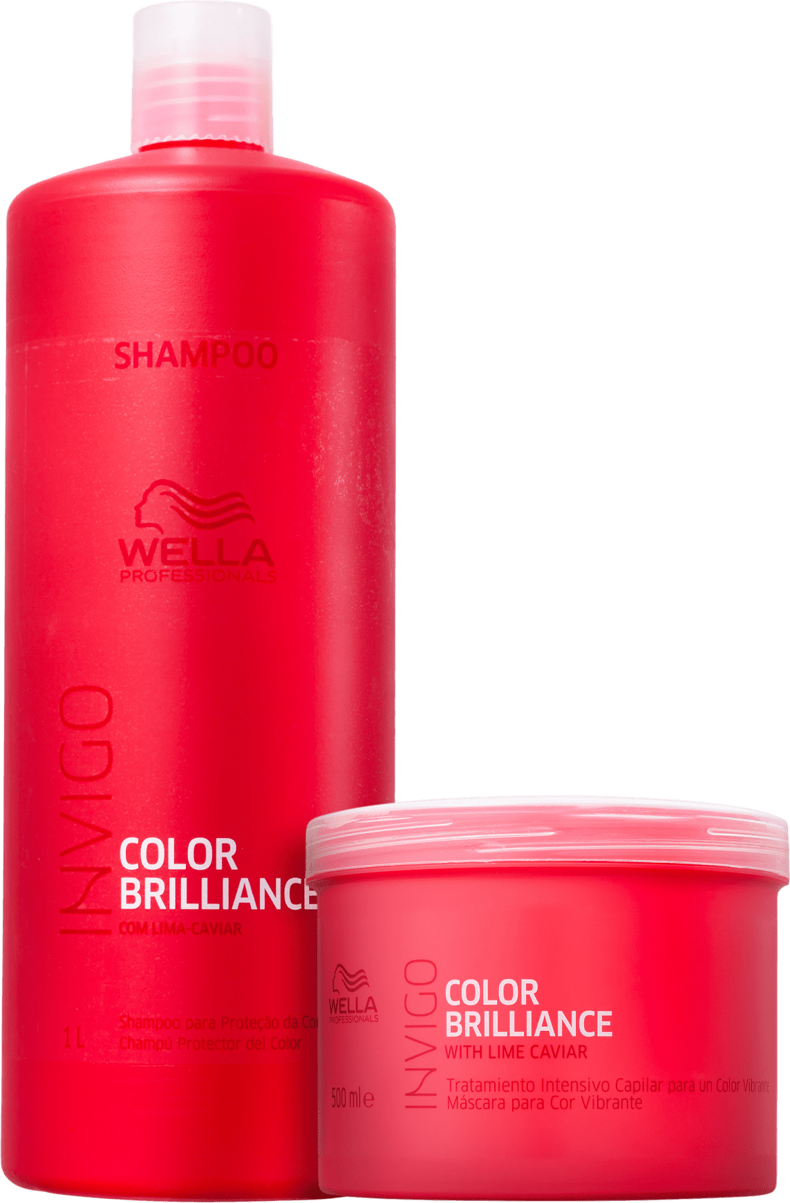 Kit Wella Professionals Invigo Color Brilliance Duo Treat Super ...