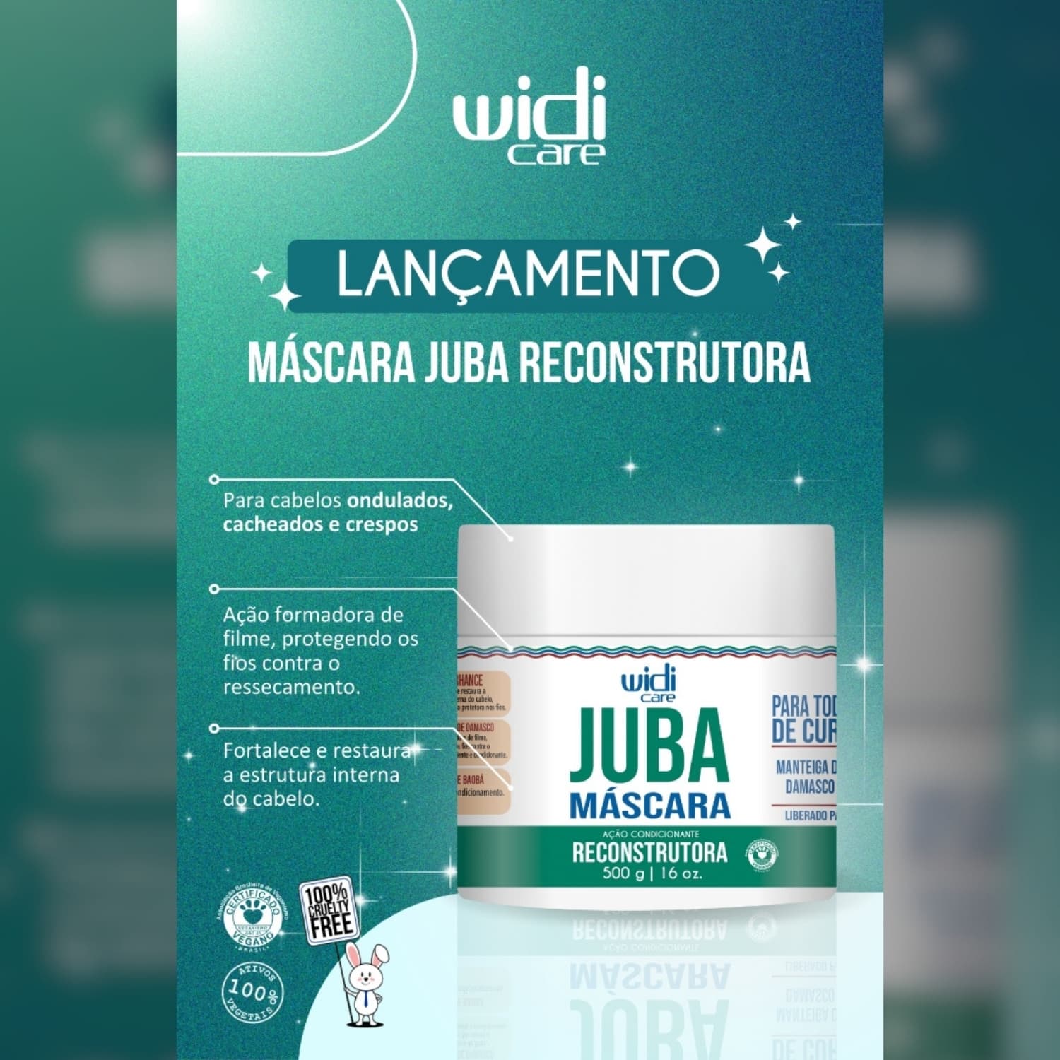 Kit Widi Care Shampoo Cond Acidificante Mousse Máscara
