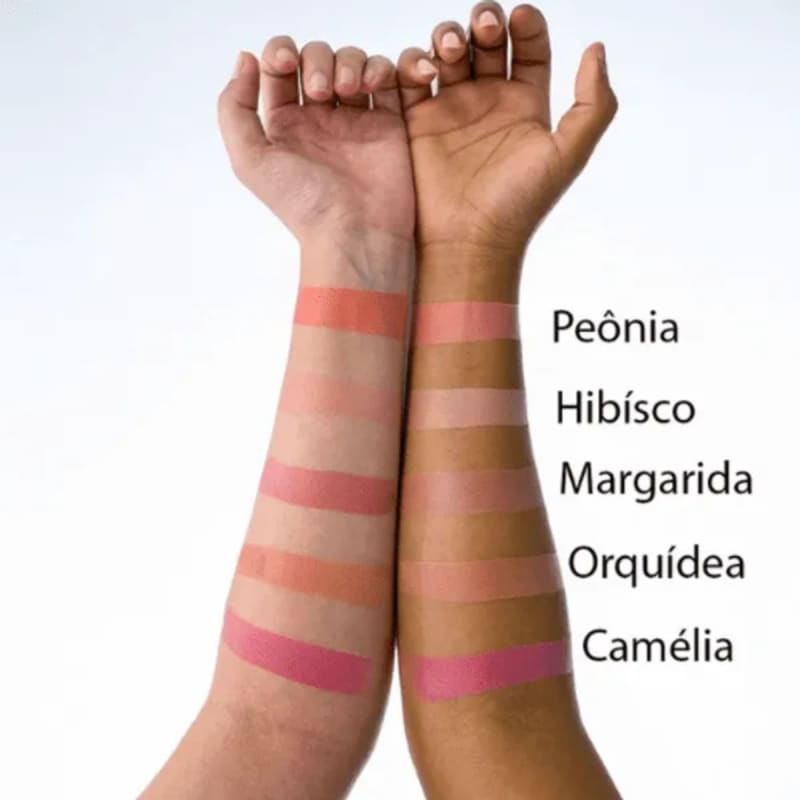 Blush Margaripetala Maria Margarida Cores:Margarida