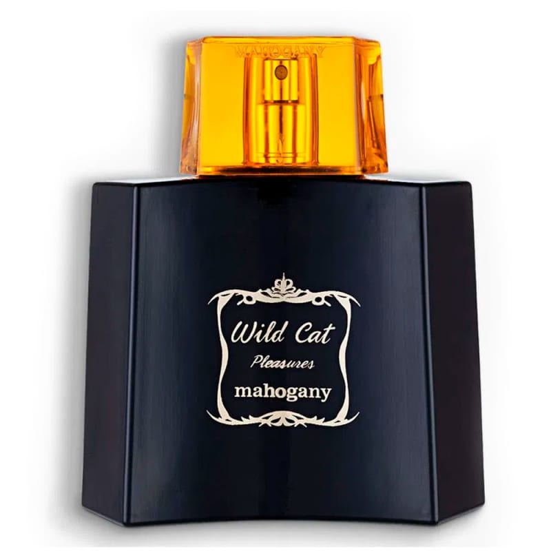 Conjunto Wild Cat Mahogany Feminino | Beleza na Web