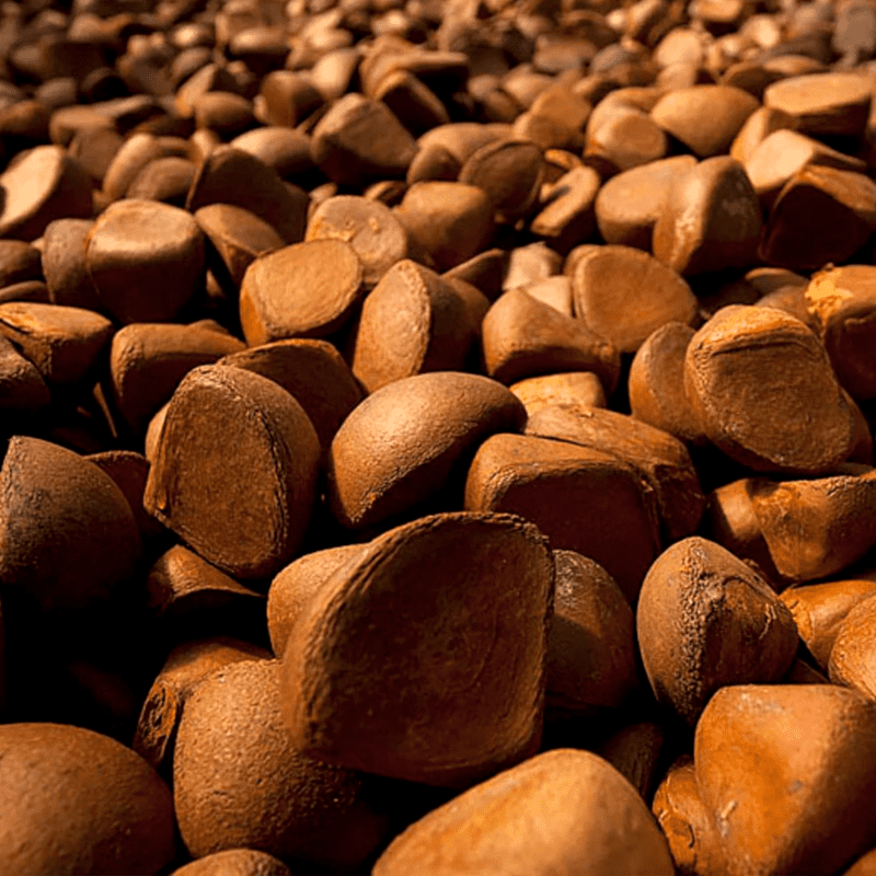 Simbioze Amazônica Andiroba Óleo Multifuncional 30ml | Beleza na Web