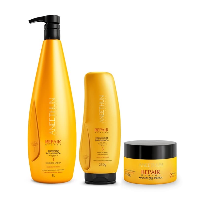 Kit Aneethun Repair System Pós-Química Shampoo 1000ml + Finalizador ...