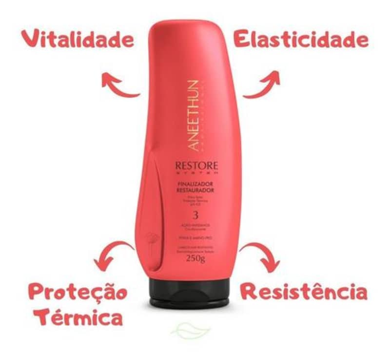 Kit Restaurador Aneethun Restore System 3 Produtos