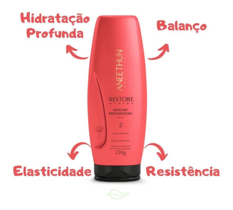 Kit Restaurador Aneethun Restore System 3 Produtos