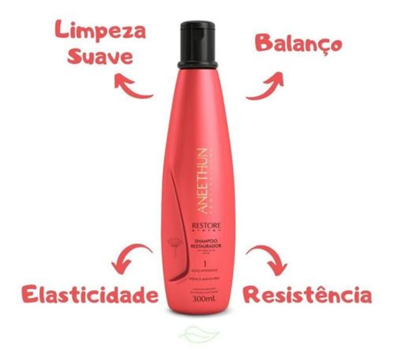 Kit Restaurador Aneethun Restore System 3 Produtos