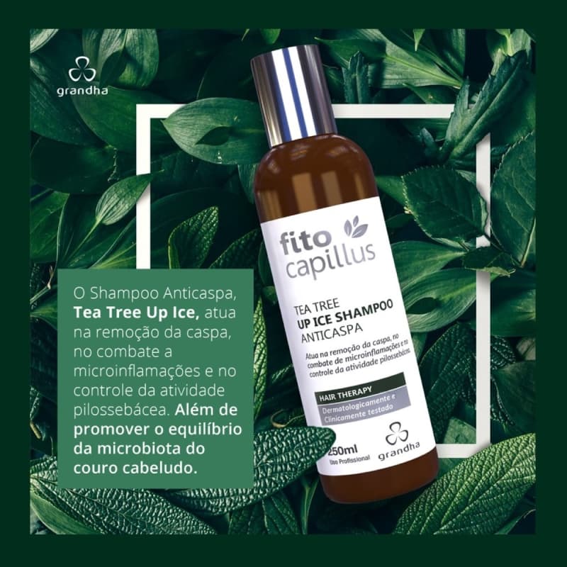 Shampoo Anticaspa Grandha Fito Capillus Tea Tree Up Ice | Beleza na Web