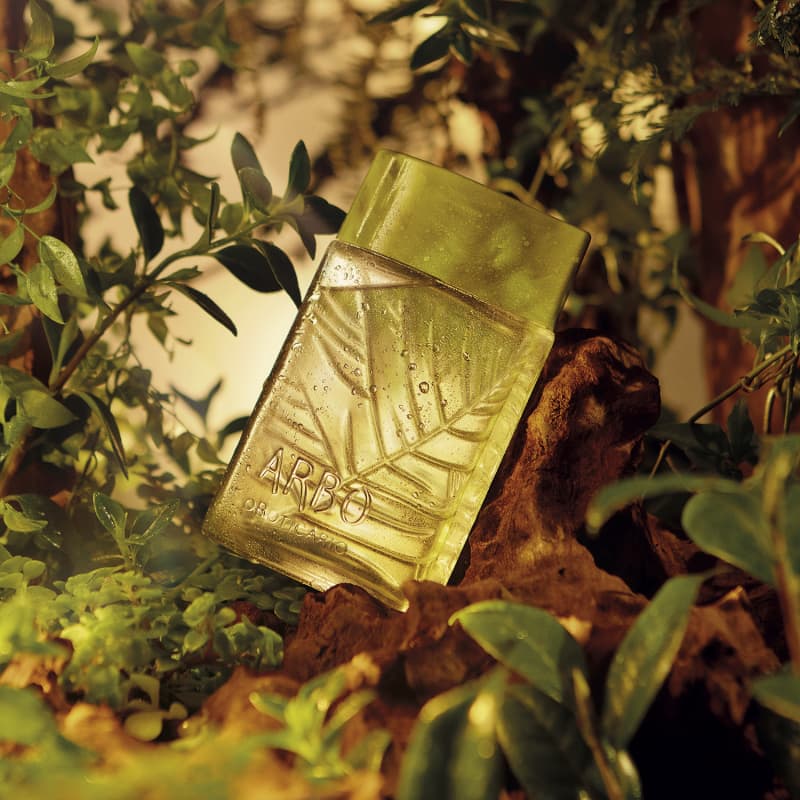 Arbo Forest Desodorante Colônia 100ml | O Boticário
