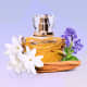 Eudora Magnific Audaz Eau de Parfum 75ml | Eudora