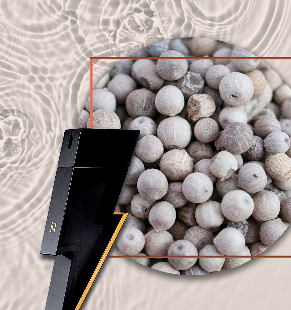 A diferença entre EDP, EDT e EDC - Beleza na Web