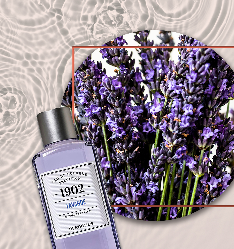 A diferença entre EDP, EDT e EDC - Beleza na Web