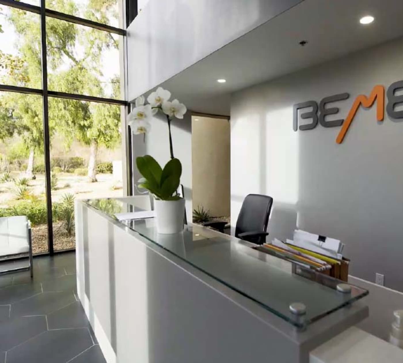 The World Leader of Powered Muscle Stimulation Therapy for Humans | BEMER