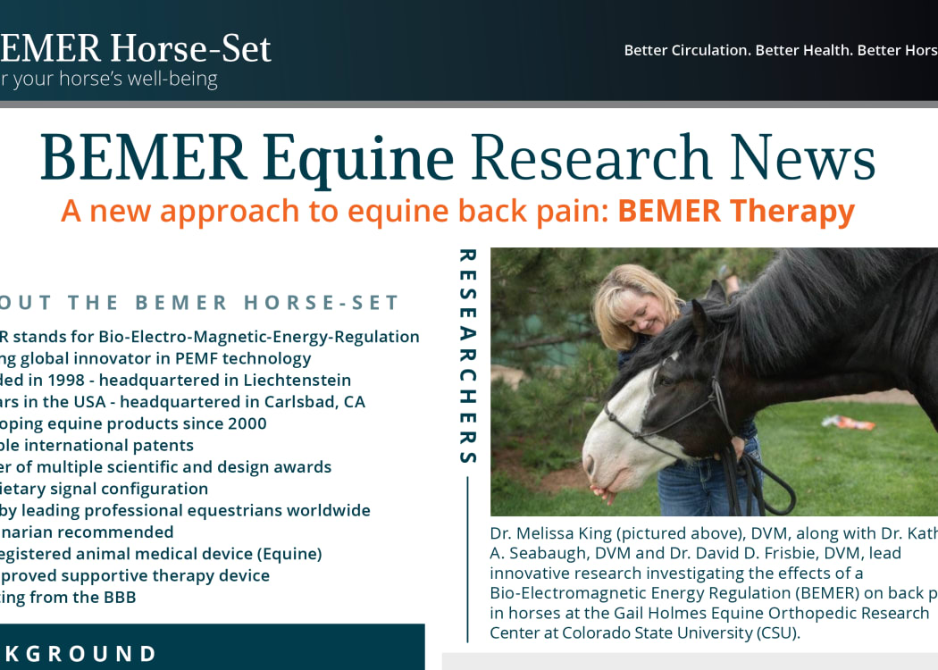 electromagnetic bemer