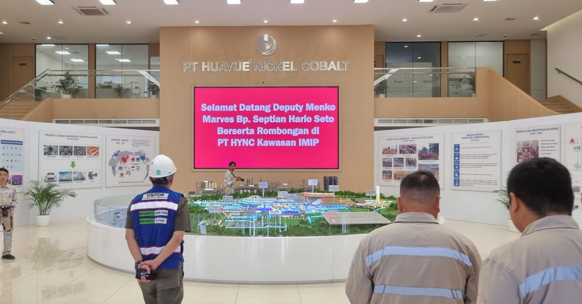 Indonesia moves up the nickel value chain with Huayou nickel sulphate ...