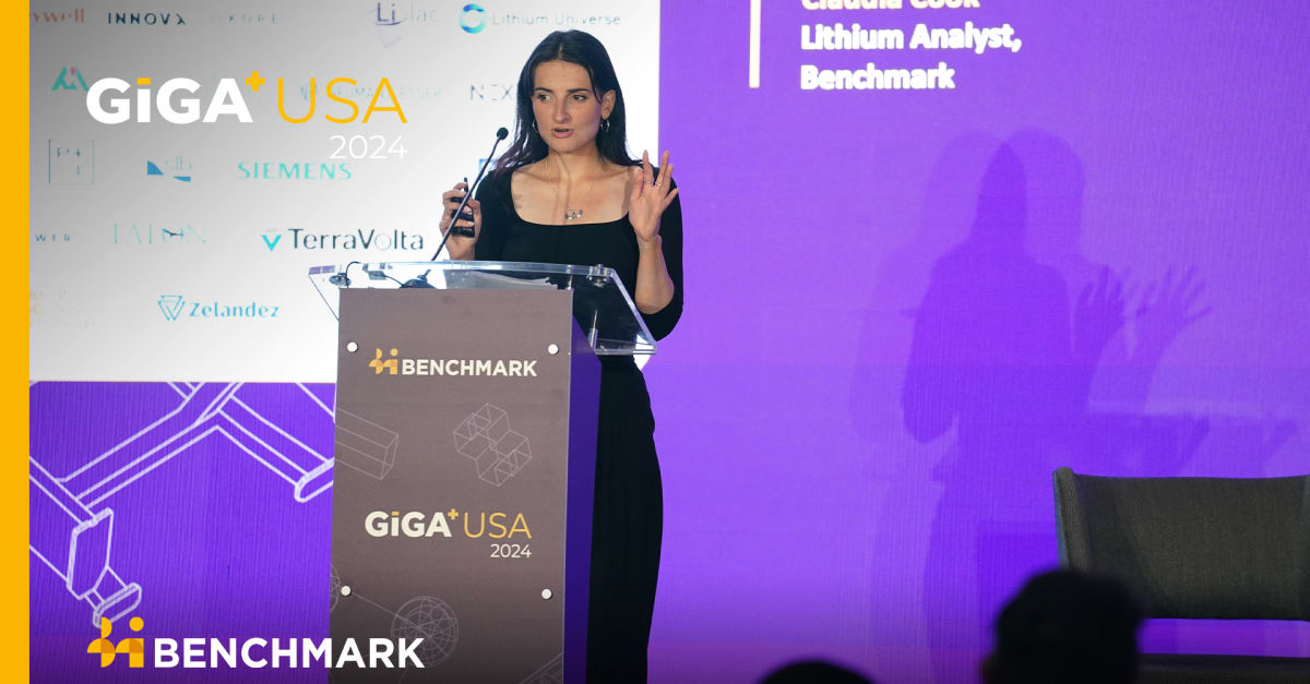 Lithium market state of play in 2024 | Benchmark Source