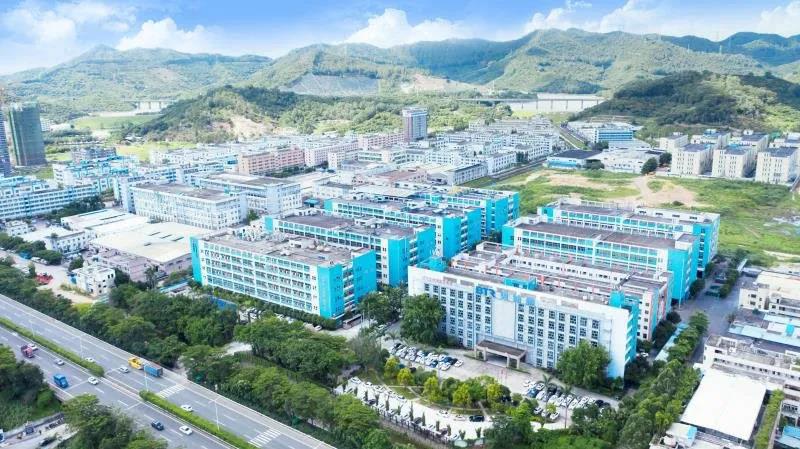 Chinese majors start 2021 on anode offensive | Benchmark Source