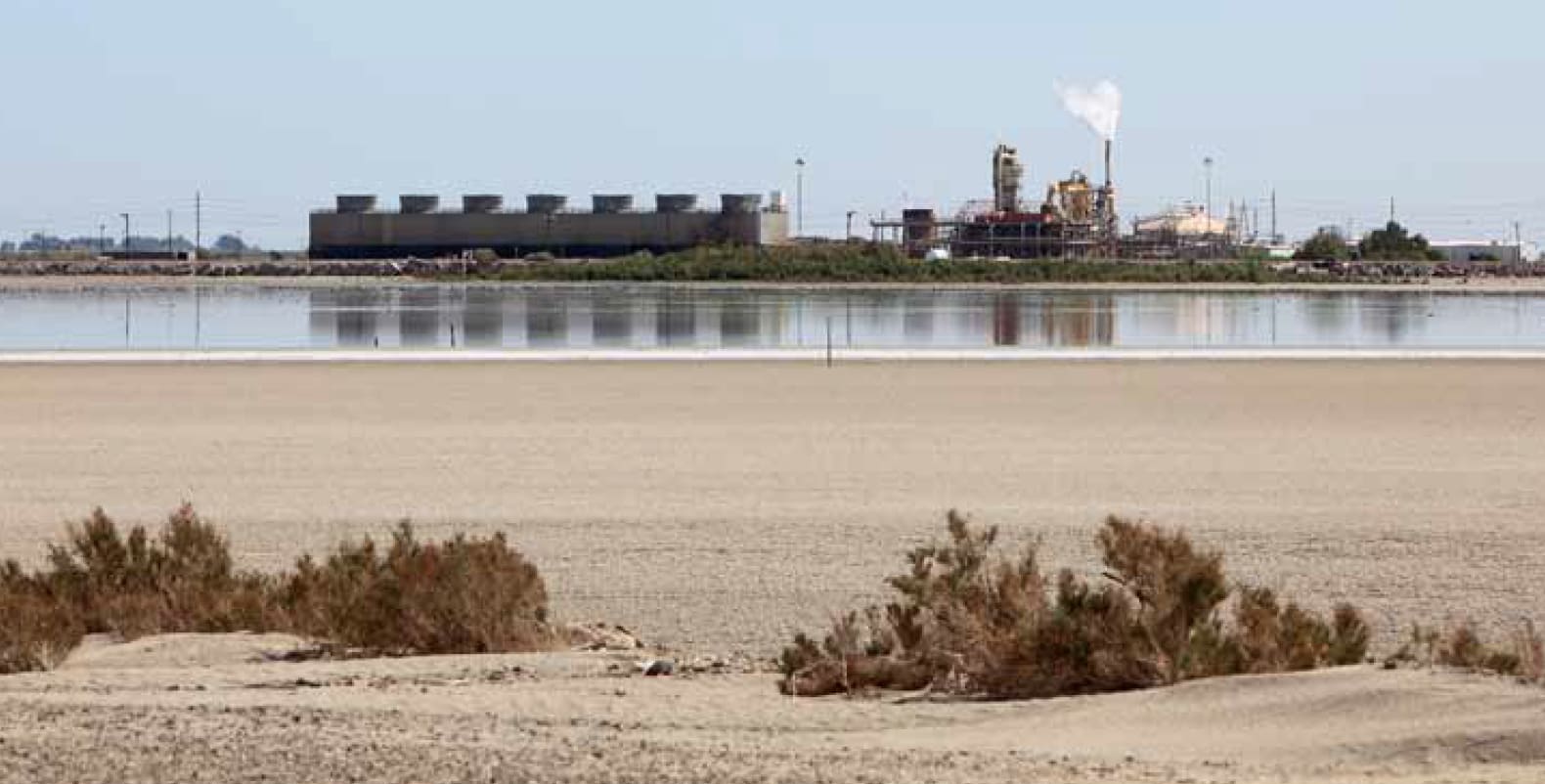 Lithium gains further momentum as two players rise from the ashes ...