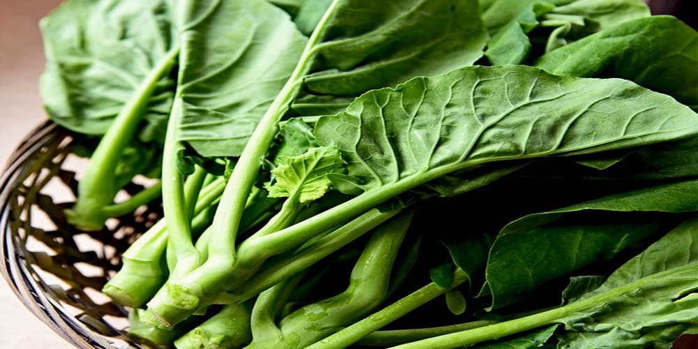 10 Manfaat Kailan Bagi Kesehatan - Beritauma