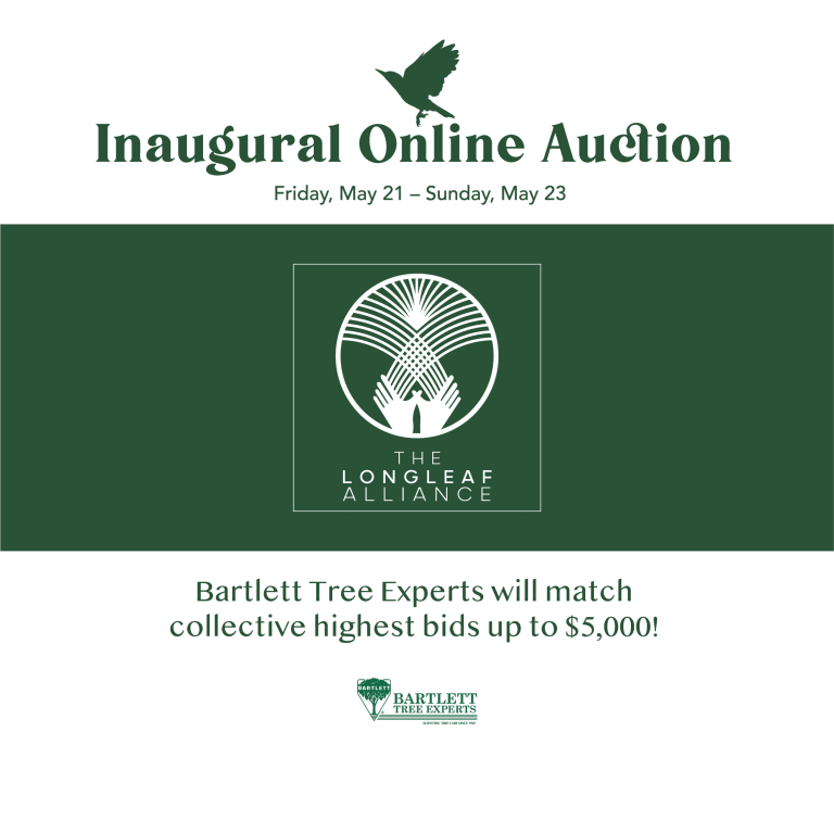 The Longleaf Alliance Inaugural Online Auction by THE LONGLEAF ALLIANCE ...