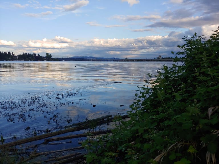 June 22 Yesler Swamp Nature Walk by Beavers Northwest | BetterUnite