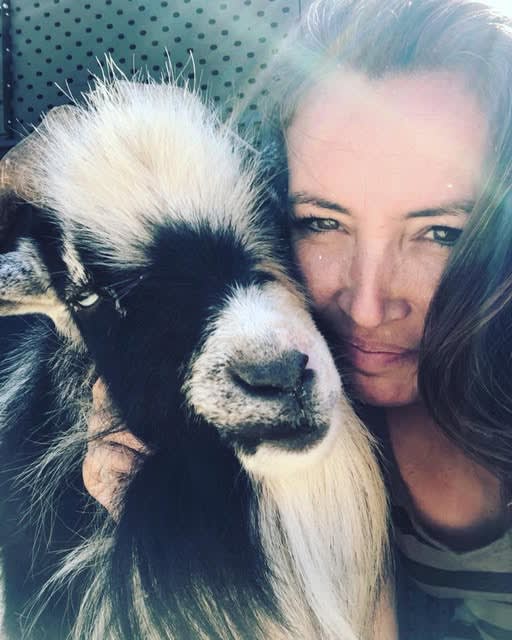 Panda the Goat by Safe in Austin | BetterUnite