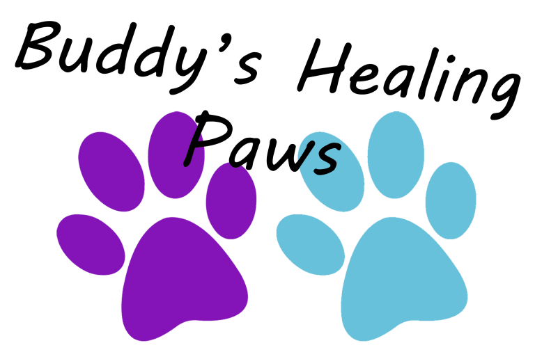 Buddy's Healing Paws | BetterUnite