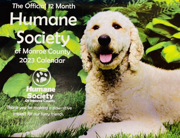2023 Humane Society of Monroe County Calendars by Humane Society of ...
