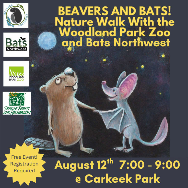August 12th Beavers and Bats Nature Walk with the Woodland Park Zoo and ...